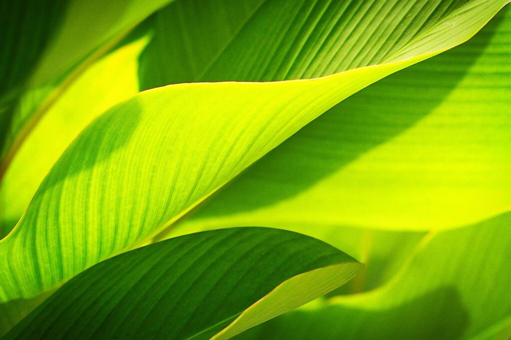 LEED Consulting - Serving New England | CSI Engineering